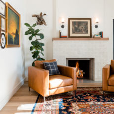 Fireplace - Pratt + Larson