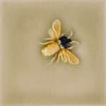 LJD Bee 4×4 - Pratt + Larson