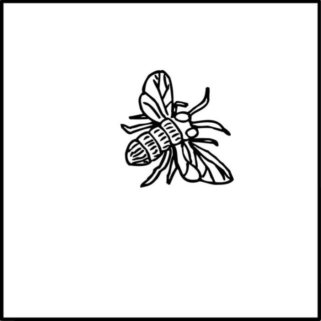 LJD Bee 4×4 - Pratt + Larson